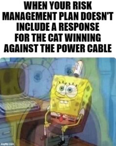 100+ Best Project Management Memes (2024)