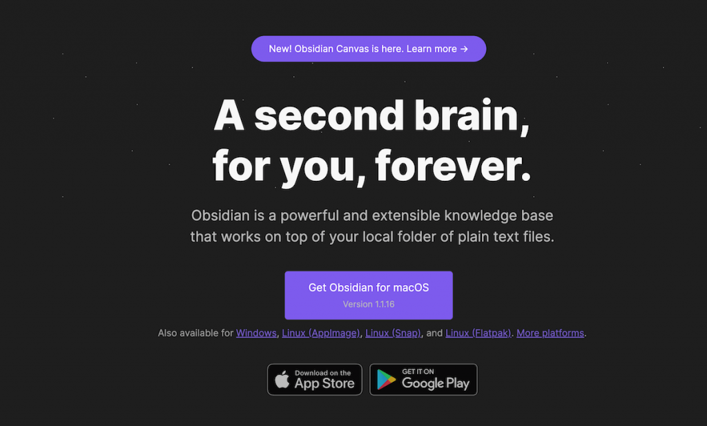 Obsidian vs Notion: Which tool is better in 2023?