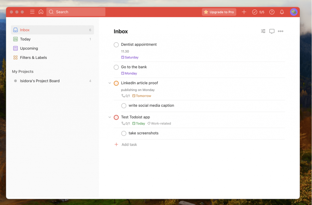 Top 10 Best Organization Apps