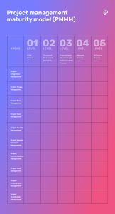 Project Management Maturity Model (PMMM) Guide
