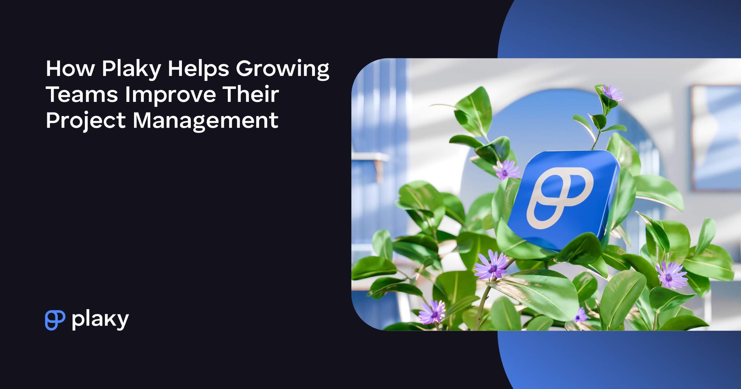 How Plaky Solves Project Management for Growing Teams